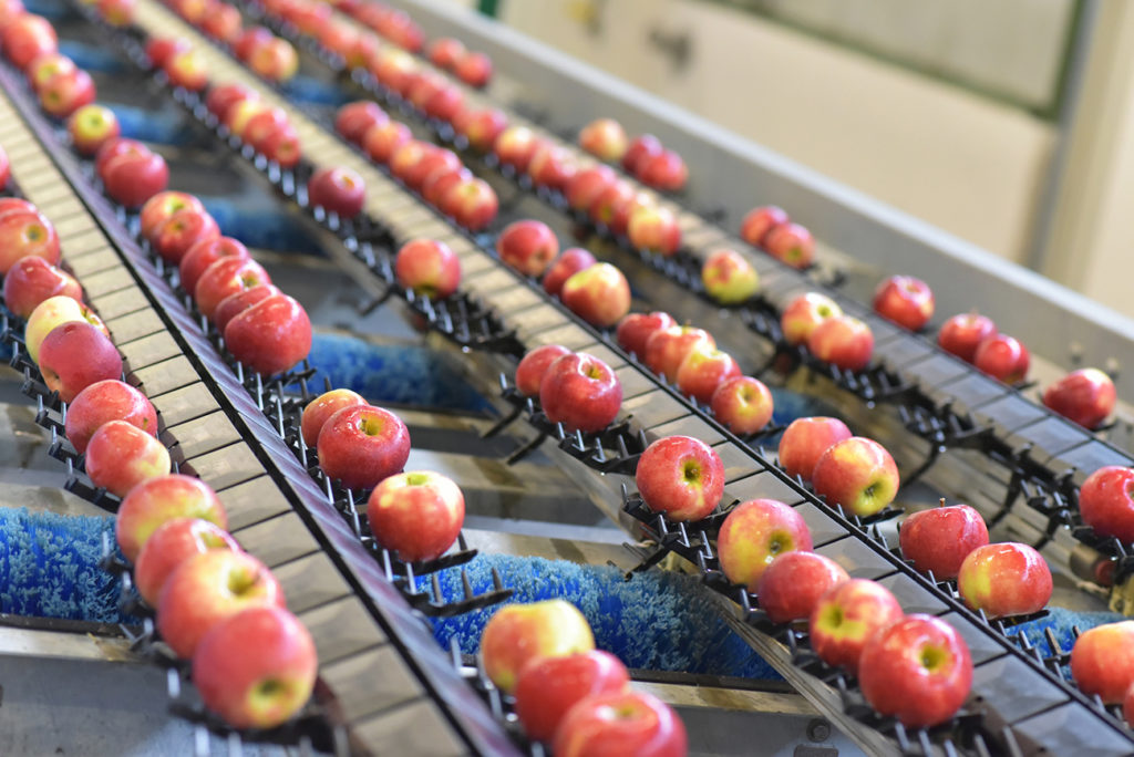 Best Practices for Food Plant Design and Construction | News & Insights ...