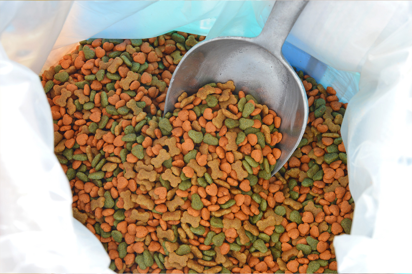 Regulations What 2022 Will Bring For Pet Food Processors